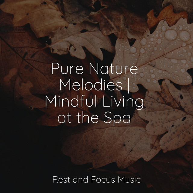 Pure Nature Melodies | Mindful Living at the Spa - Album by Egyptian ...