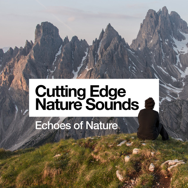 Cutting-edge Nature Sounds - Album by Echoes Of Nature | Spotify