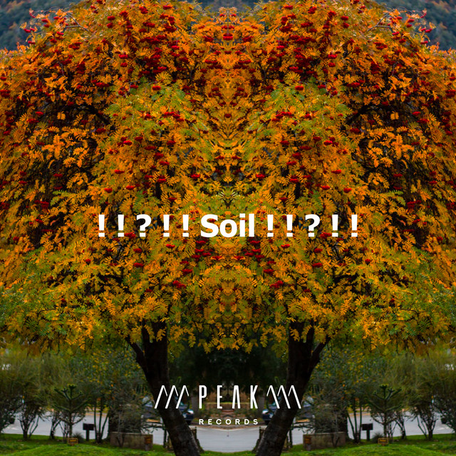 Soil ! ! ? ! ! - Album by Forest Sounds | Spotify