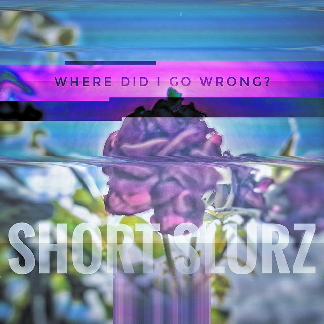 Where did I go wrong - song and lyrics by Short Slurz | Spotify