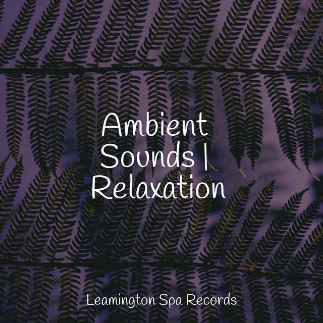 Ambient Sounds | Relaxation - Album by Regen | Spotify