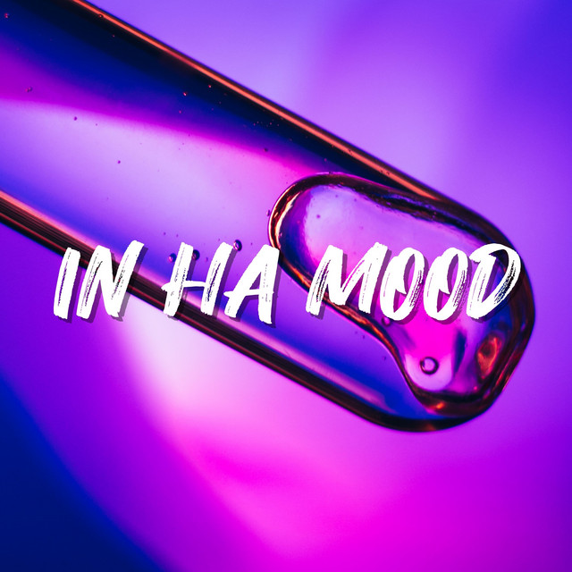 In Ha Mood - Single by DJ Challenge X | Spotify