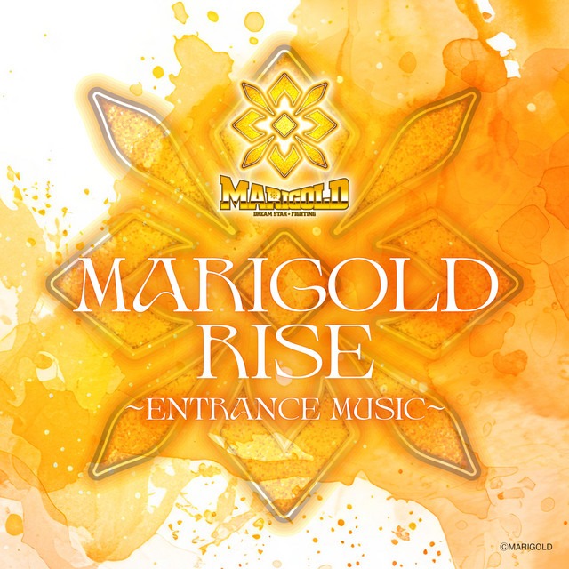 MARIGOLD RISE ～ENTRANCE MUSIC～ - Compilation by Various Artists | Spotify