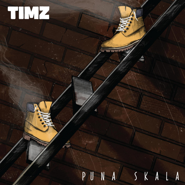 Tomahawk stejk - song and lyrics by TIMZ | Spotify