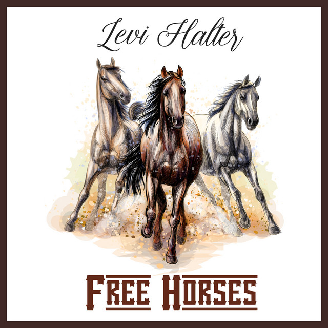Levi Halter | Spotify