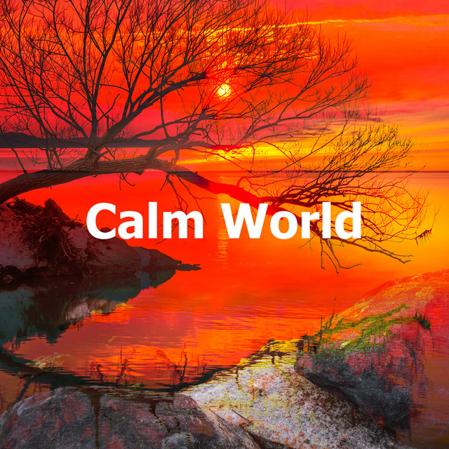 Calm World - Album by Dormir | Spotify