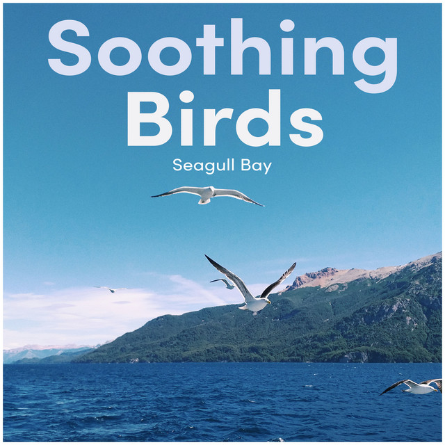 Soothing Birds - Album by Seagull Bay | Spotify