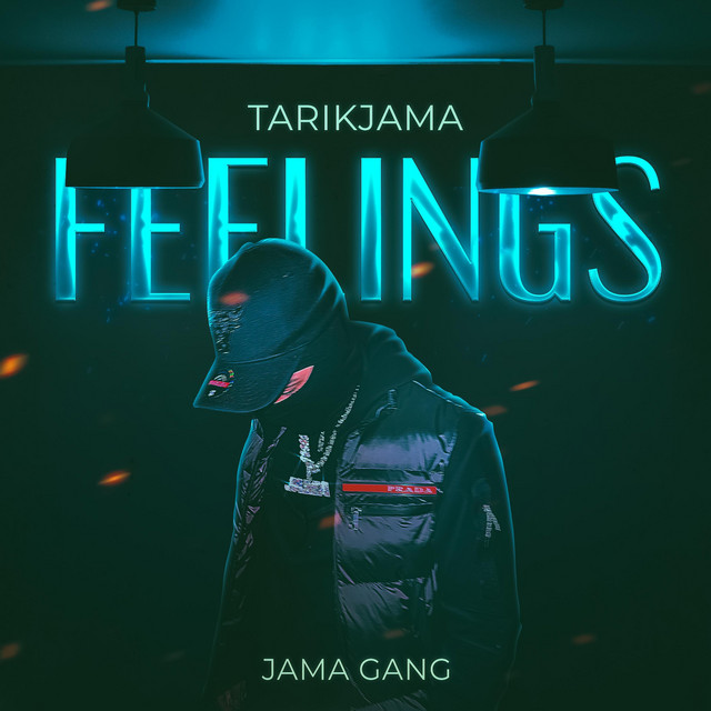 FEELINGS - Single by Tarik | Spotify