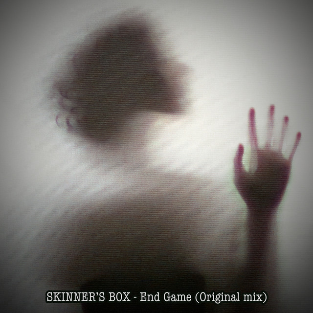 End Game - Single by SKINNER'S BOX | Spotify