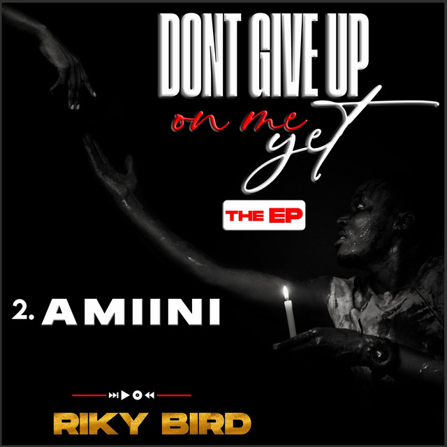 Amiini - Single by Riky Bird | Spotify