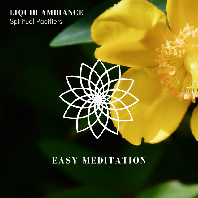 Spiritual Pacifiers - Album by Liquid Ambiance | Spotify