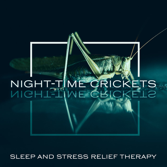 Night-time Crickets: Sleep and Stress Relief Therapy, Peaceful Music ...