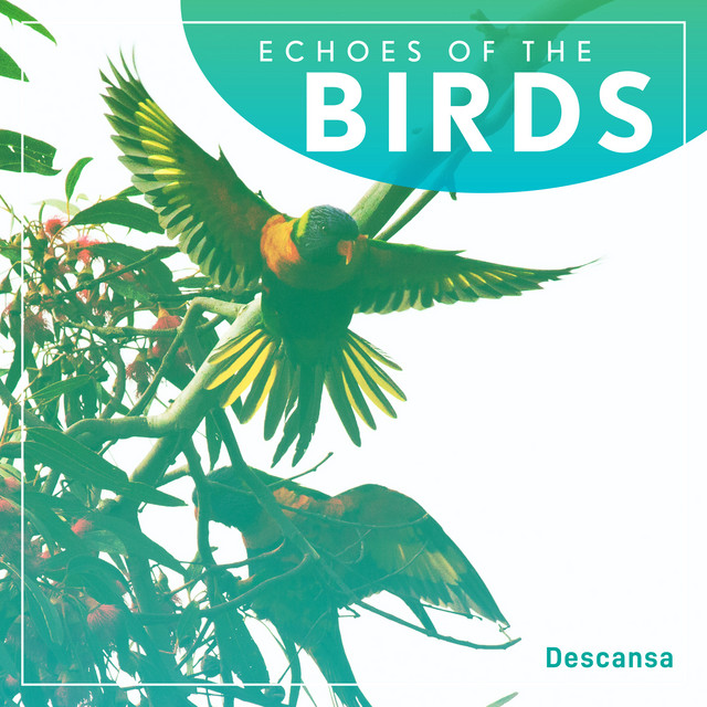 Echoes of the Birds - Album by Descansa | Spotify