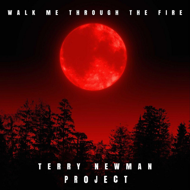 Walk Me Through the Fire - song and lyrics by Terry Newman Project ...