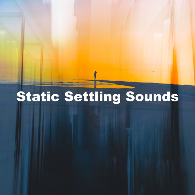 Static Settling Sounds - Album by Sounds Dogs Love | Spotify