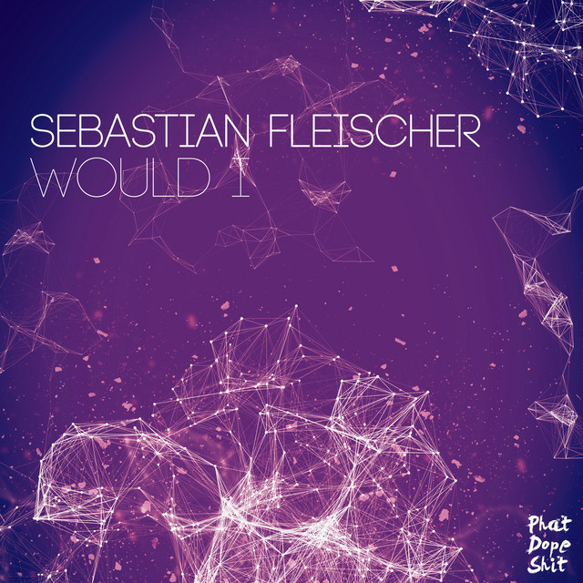 Would I - Single by Sebastian Fleischer | Spotify