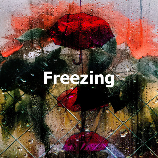 Freezing - Album by Rain Sleep | Spotify