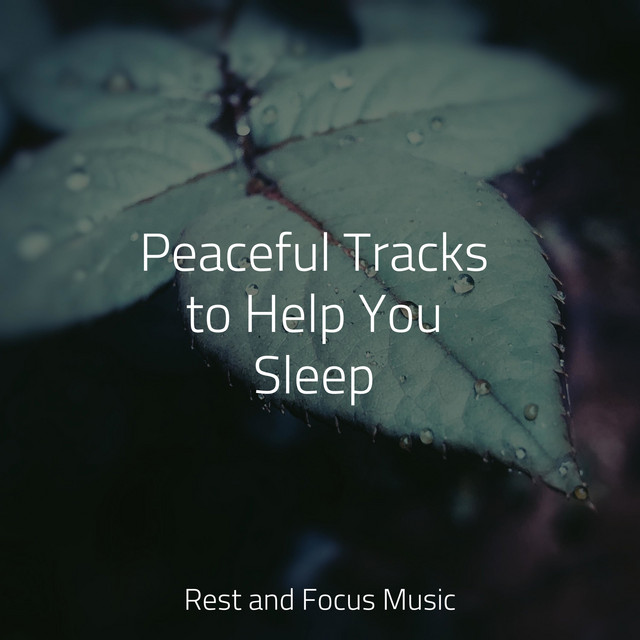 Peaceful Tracks to Help You Sleep - Album by White Noise Sound Garden ...