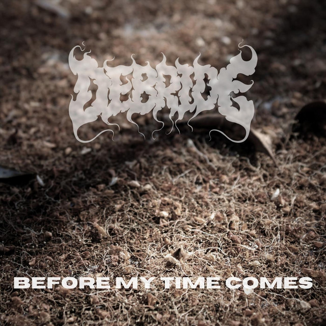 Debride | Spotify