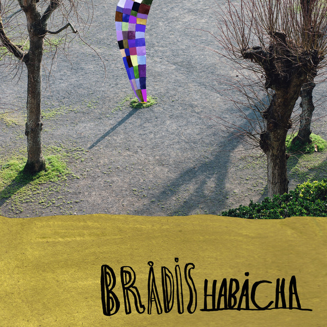 Habåcha (Radio Edit) - Single by Brådis | Spotify