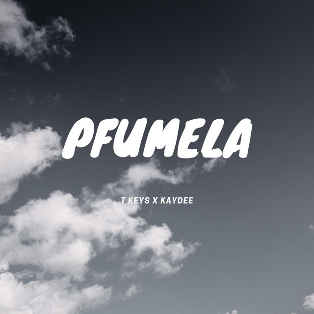 Pfumela (Remix) - Single by T keys | Spotify