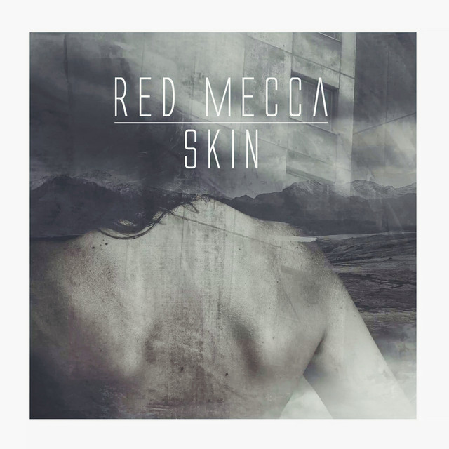 Skin - Single by Red Mecca | Spotify