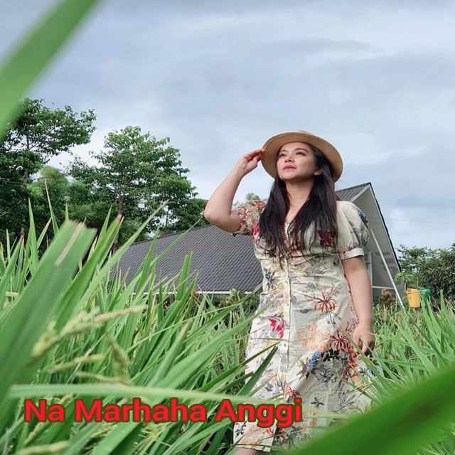 Na Marhaha Anggi - Single by Rany Simbolon | Spotify