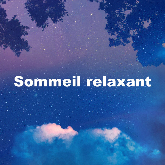 Bravery Calming - song and lyrics by Relaxation Sommeil et Détente ...