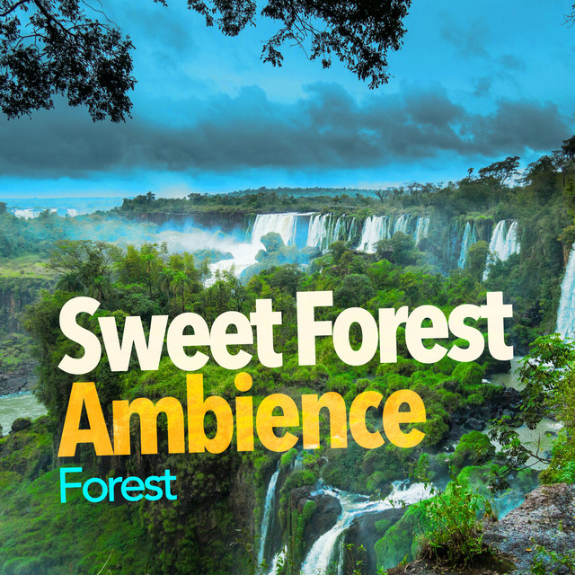 Sweet Forest Ambience - Album by Forest | Spotify