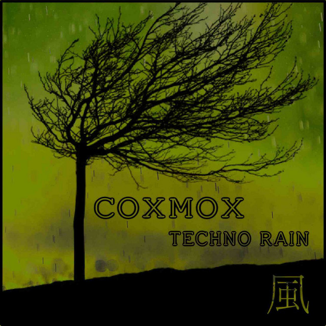 Techno Rain - Album by Coxmox | Spotify