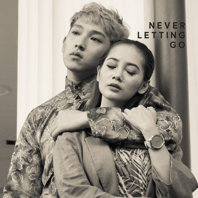 Never Letting Go - song and lyrics by Optimistic Luxurians | Spotify