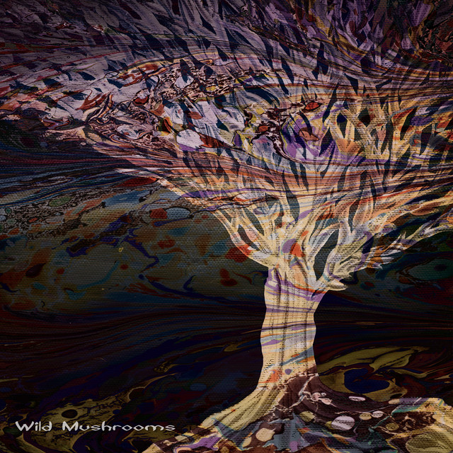Wild Mushrooms Spotify