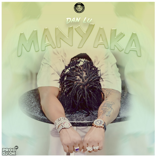 Manyaka - Single by Dan Lu | Spotify