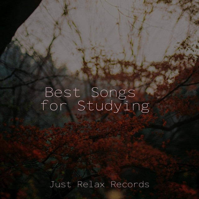 Best Songs for Studying - Album by Baby Lullaby | Spotify