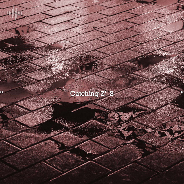 " Catching Z'S " - Album by White Noise for Babies | Spotify