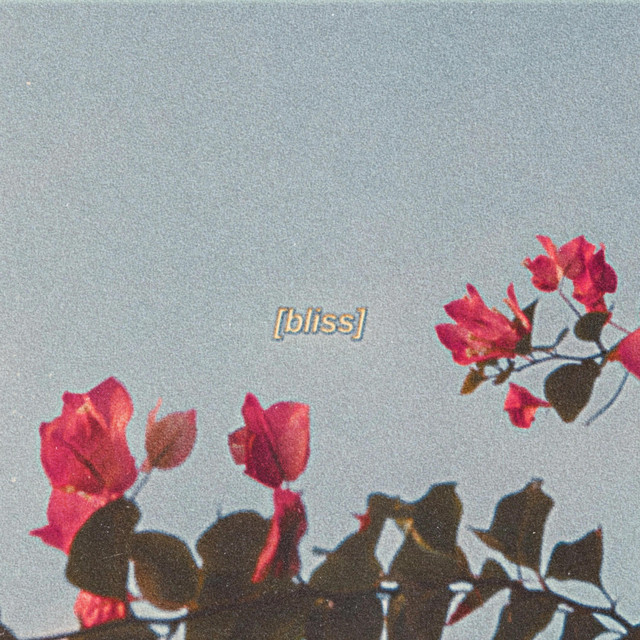 bliss - song and lyrics by Prod. Riddiman | Spotify