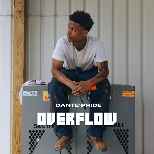 OVERFLOW - Single by Dante' pride | Spotify