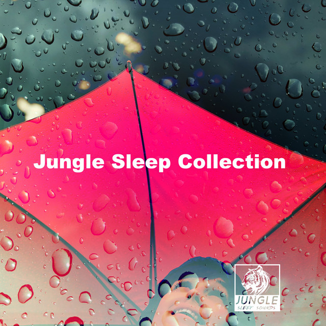 Jungle Sleep Collection - Album by Jungle Sleep Sounds | Spotify