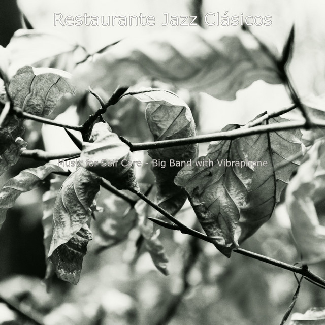 Music for Self Care - Big Band with Vibraphone - Album by Restaurante ...