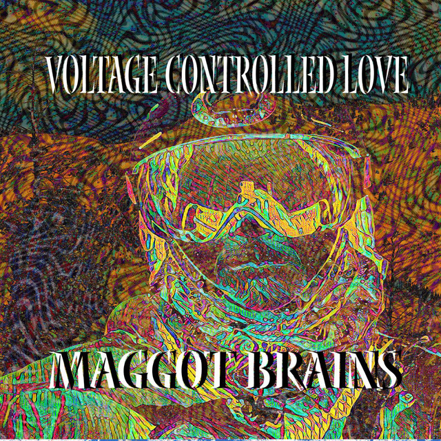 Maggot Brains - song and lyrics by Voltage Controlled Love | Spotify