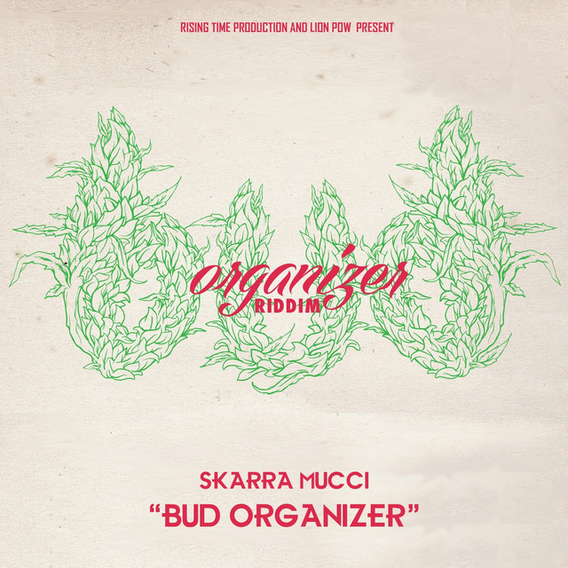 Bud Organizer (Organizer Riddim) - Single by Skarra Mucci | Spotify