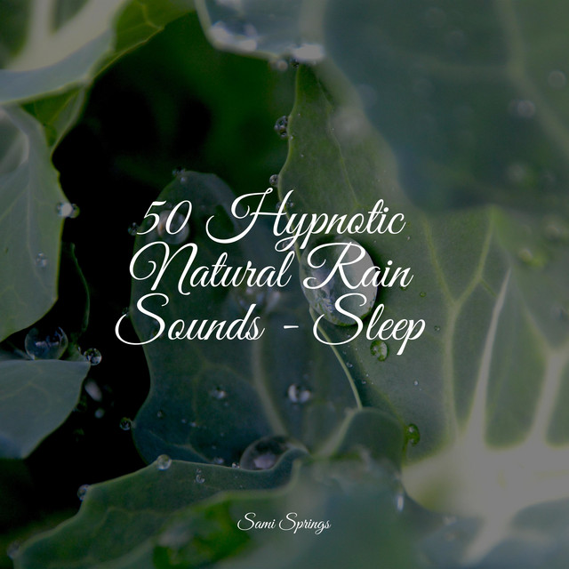 50 Hypnotic Natural Rain Sounds - Sleep - Album by Yoga Namaste | Spotify