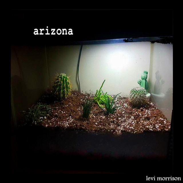 Levi Morrison | Spotify