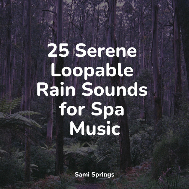 Sound of Storms - song and lyrics by Relaxing Sleep Music, Rainfall For ...