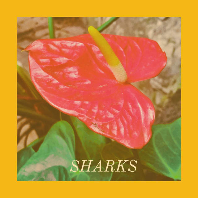 Sharks - Single by Lauren Rocket | Spotify