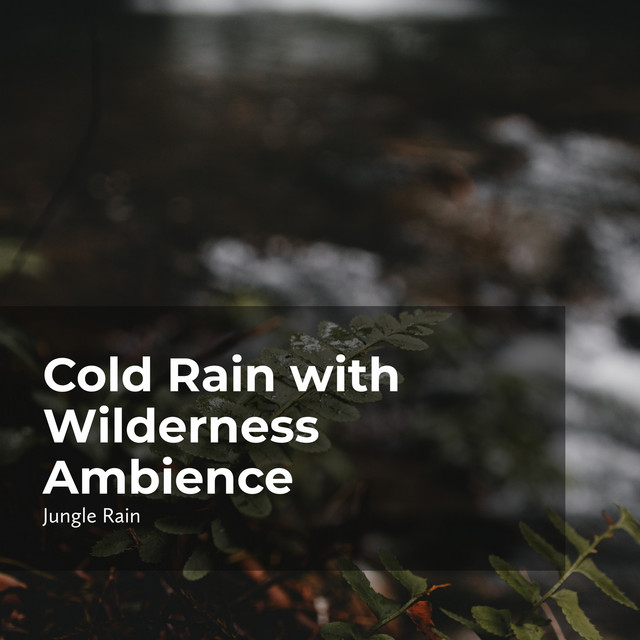 Cold Rain with Wilderness Ambience - Album by Nature and Rain | Spotify