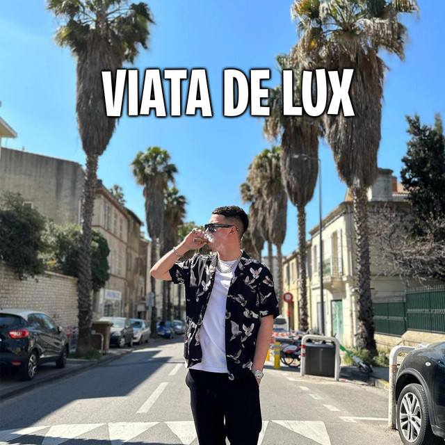 M.G.L. VIATA DE LUX - song and lyrics by LeakzRo23 | Spotify