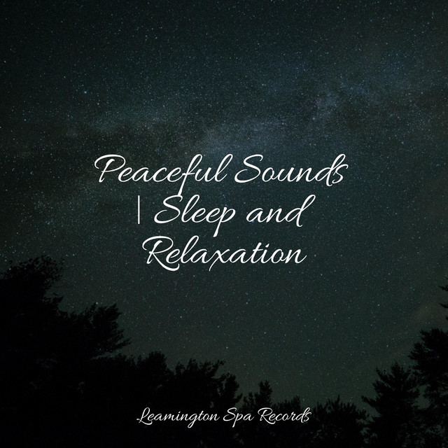 Peaceful Sounds | Sleep and Relaxation - Album by Soothing White Noise ...