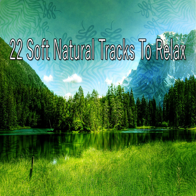22 Soft Natural Tracks To Relax - Album by Nature Sounds | Spotify