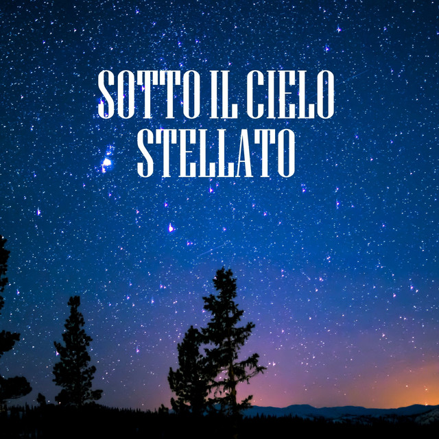 Sotto Il Cielo Stellato - Single by Ronnie Kelly | Spotify